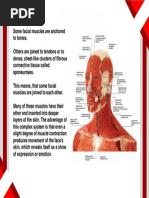 Facial Muscles Lateral View Diagram | PDF | Soft Tissue | Human Anatomy