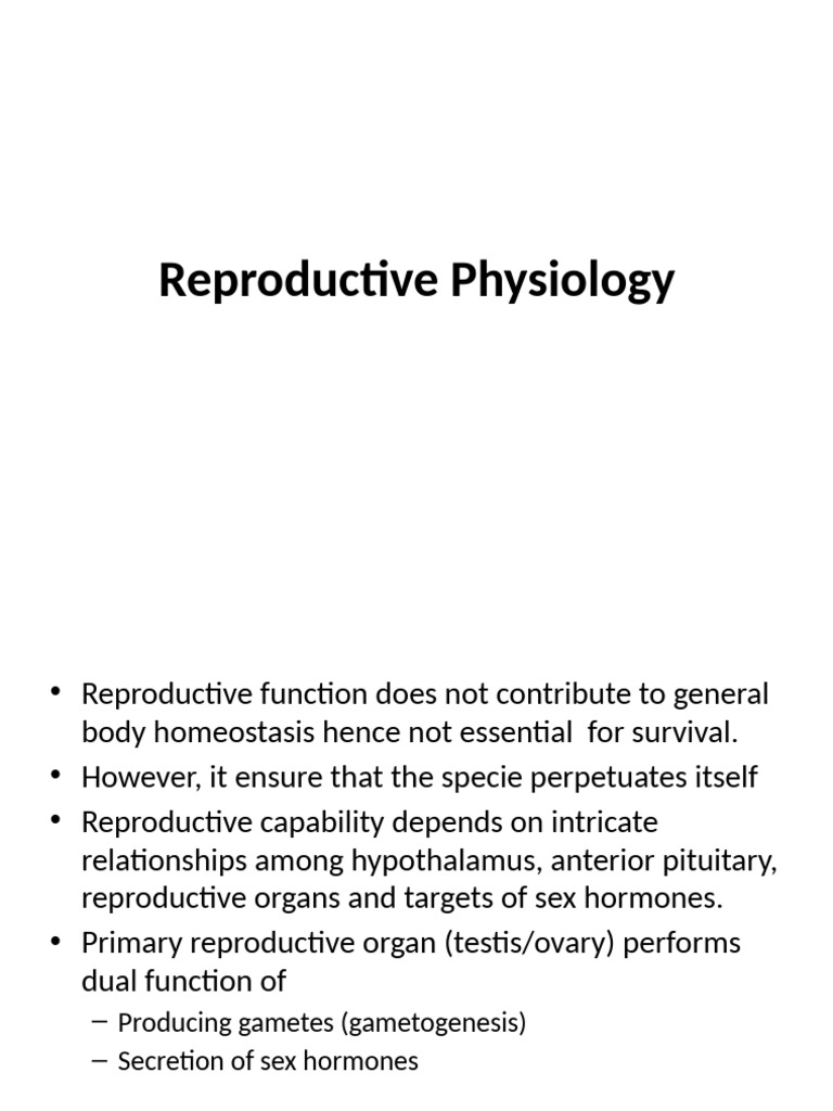 206 Reproduction Intro, Male, Female | PDF | Menstrual Cycle | Reproductive System