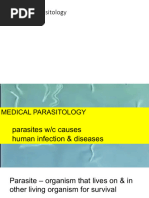 Paramphistomes | PDF