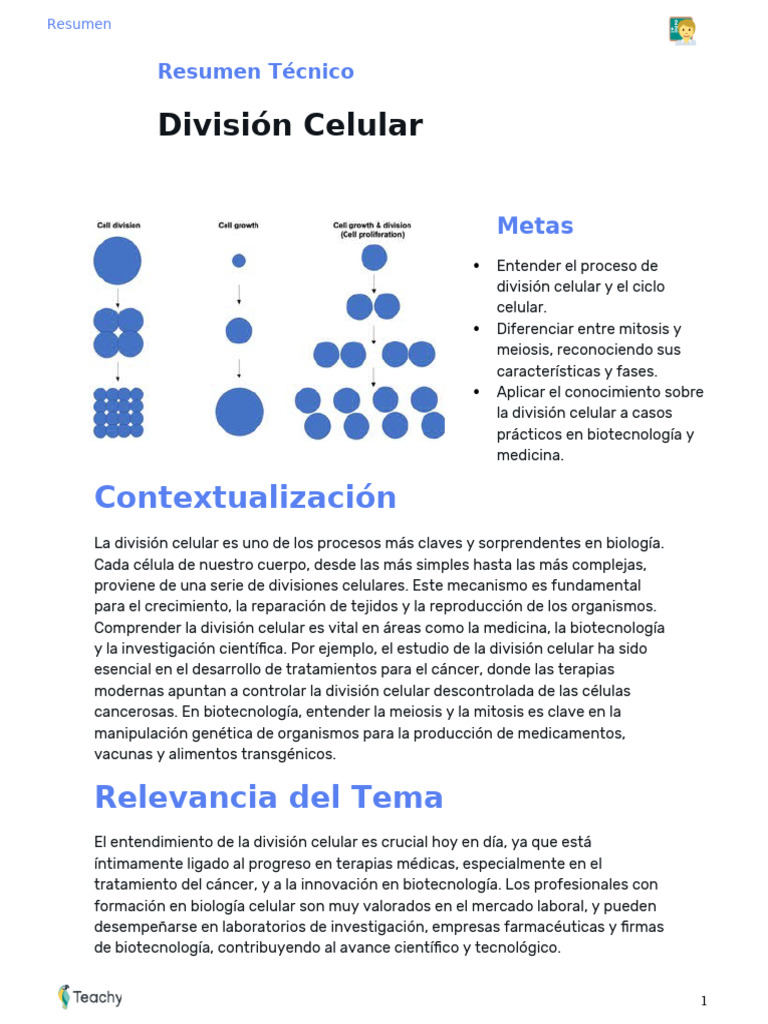 División Celular: Mitosis y Meiosis | PDF | Mitosis | Mitosis