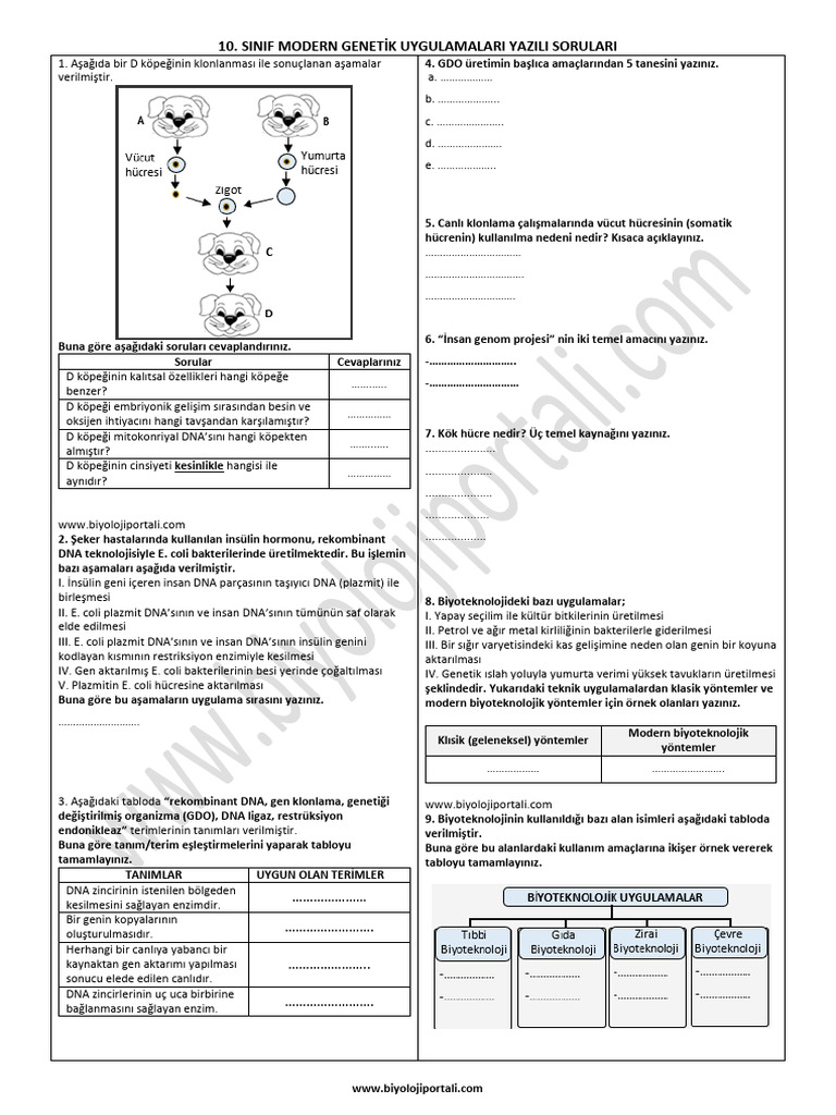 SINIF MODERN GENETİK UYGULAMALARI Yazılı Soruları | PDF