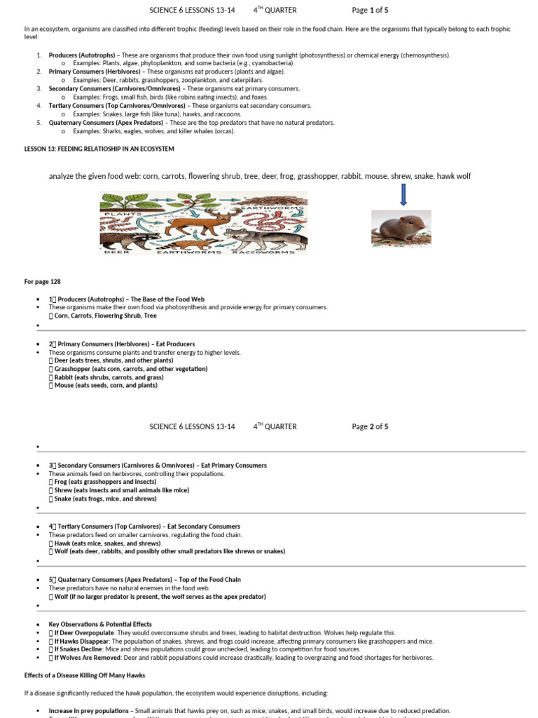 Ecosystem Trophic Levels and Interactions | PDF | Predation | Herbivore