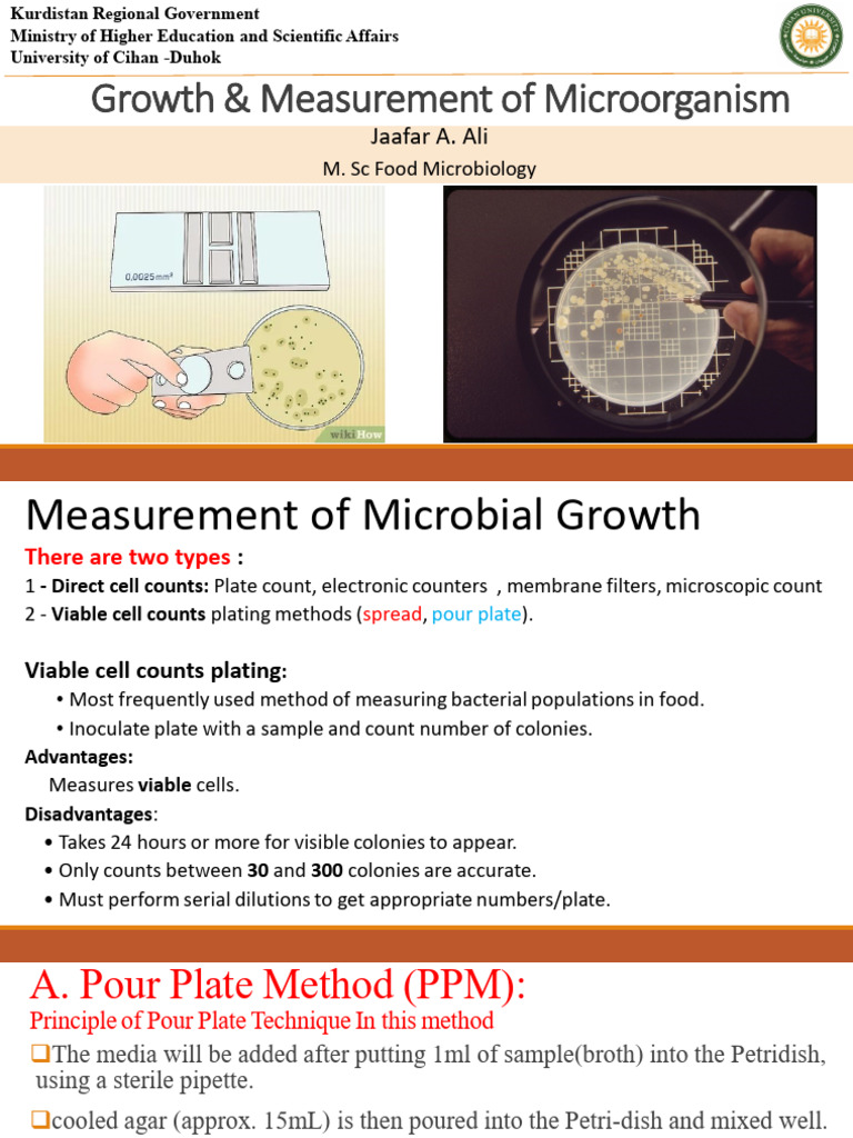 Lab 3 Growth Mesurment 1 | PDF | Colony Forming Unit | Laboratory ...