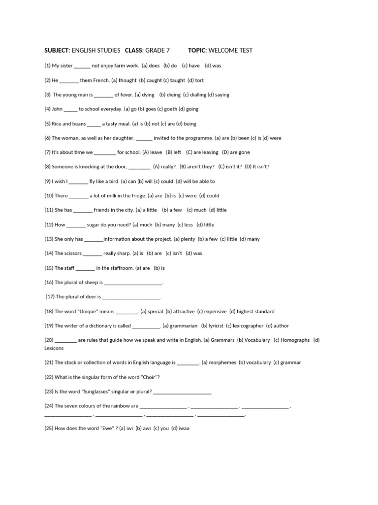 Grade 7 Welcome Test: English Skills | PDF