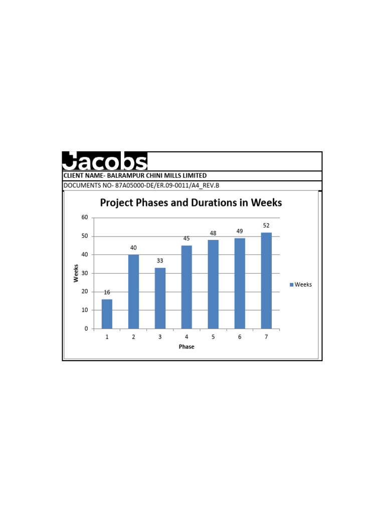 Project Phases Chart | PDF