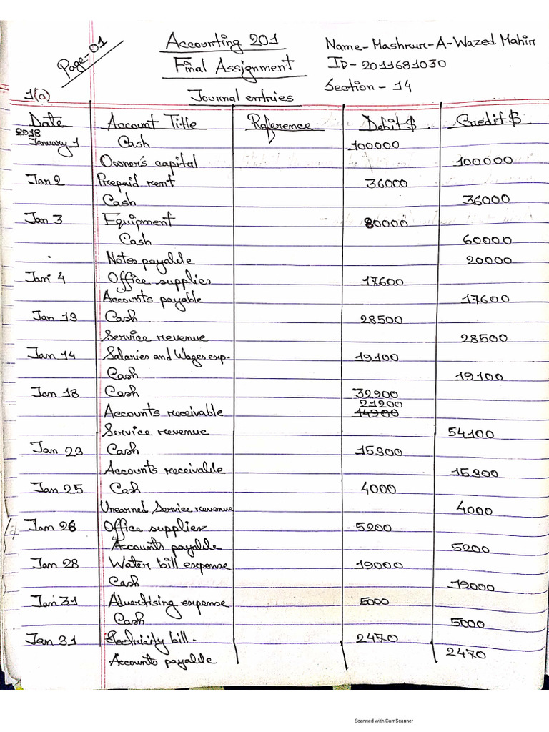 ACT 201 Assignment | PDF