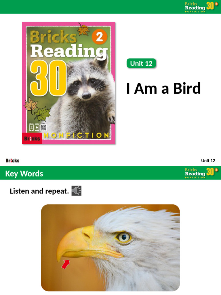 Bricks Reading 30 Nonfiction L2 SB PPT Unit 12 | PDF | Birds | Beak