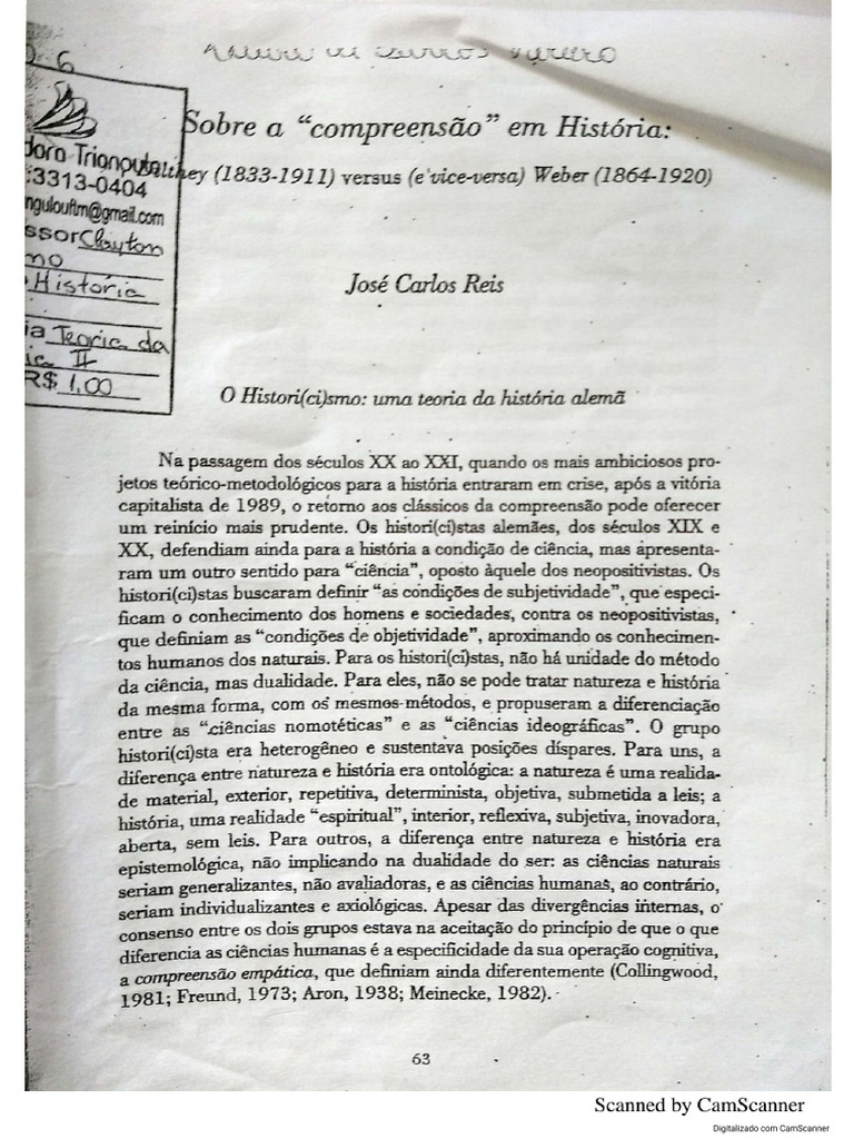 TEXTO 6 - Sobre A Compreensão em História - REIS | PDF