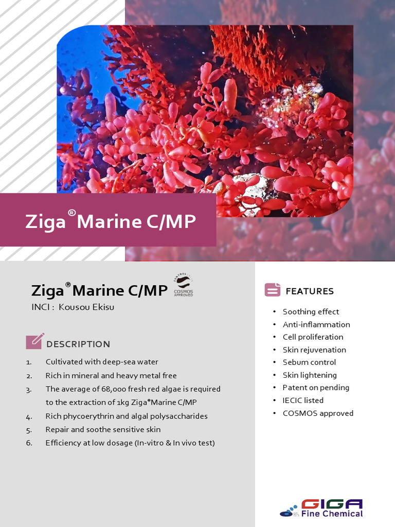 ZigaMarine CMP-Brochure (EN) | PDF | Allergy | Cell Biology