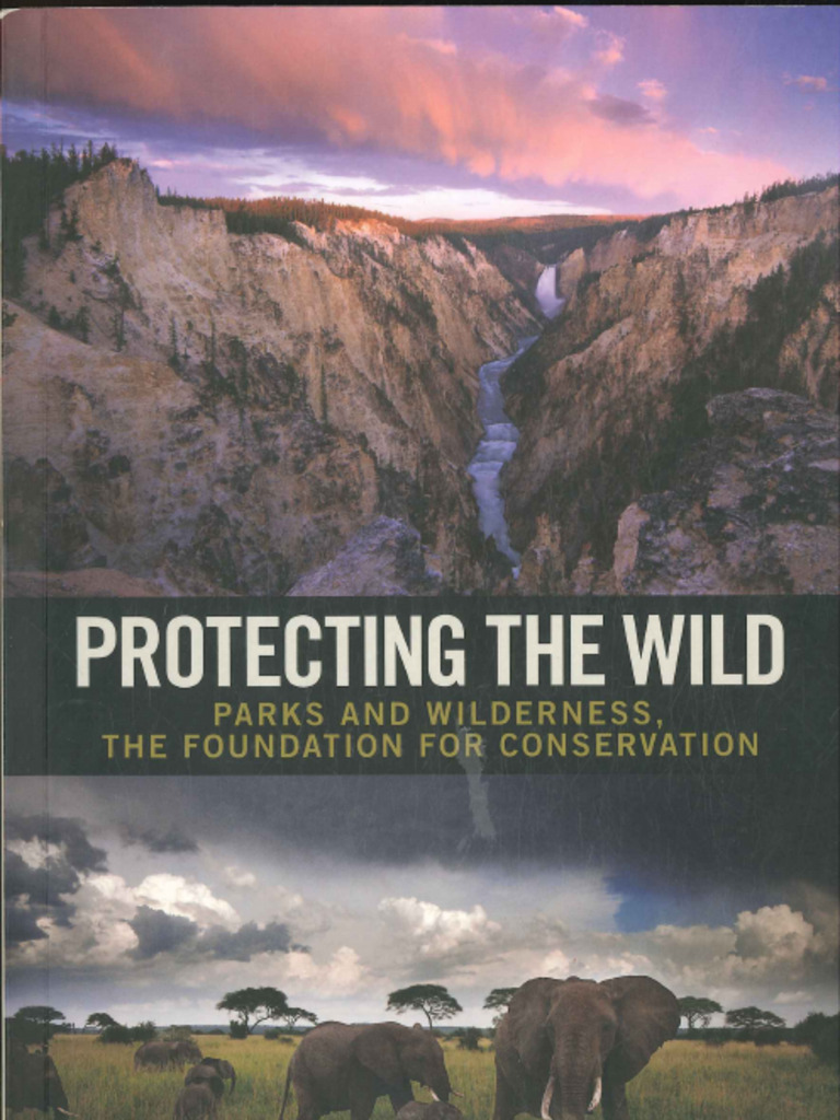 Protecting The Wild | PDF