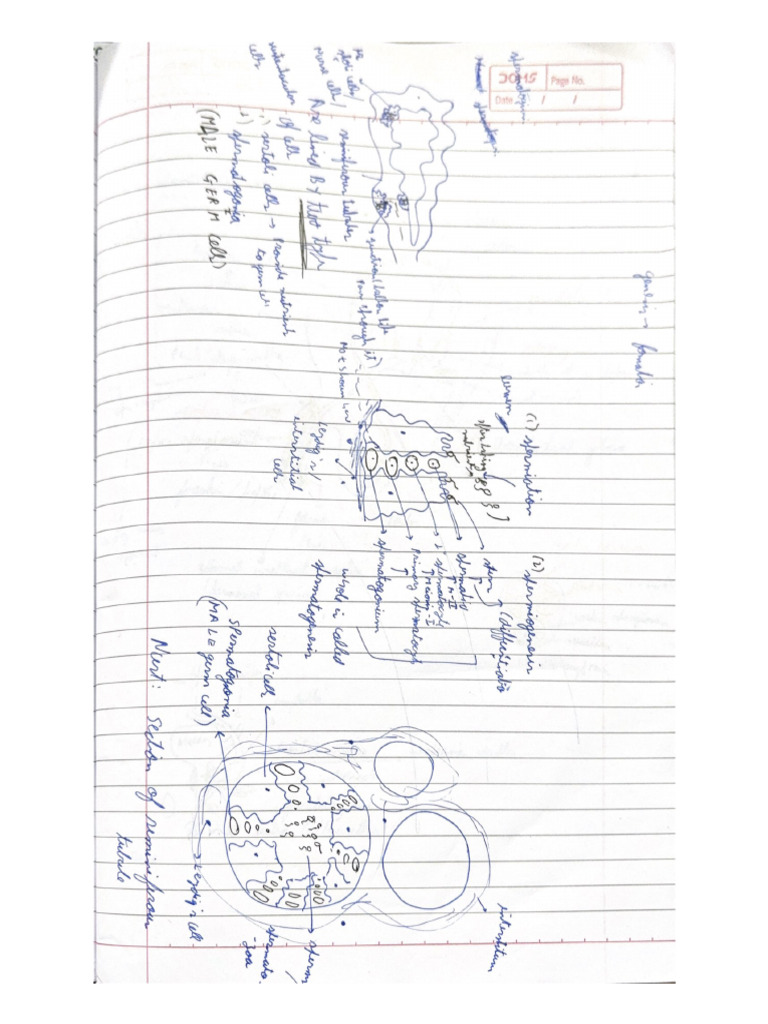 Scanned Documents 2 | PDF