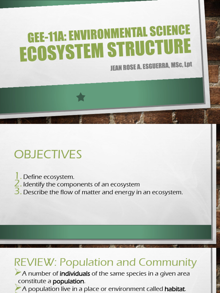 Ecosystem Structure and Components | PDF