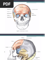 Rhese Method for Orbit X-Ray Positioning | PDF