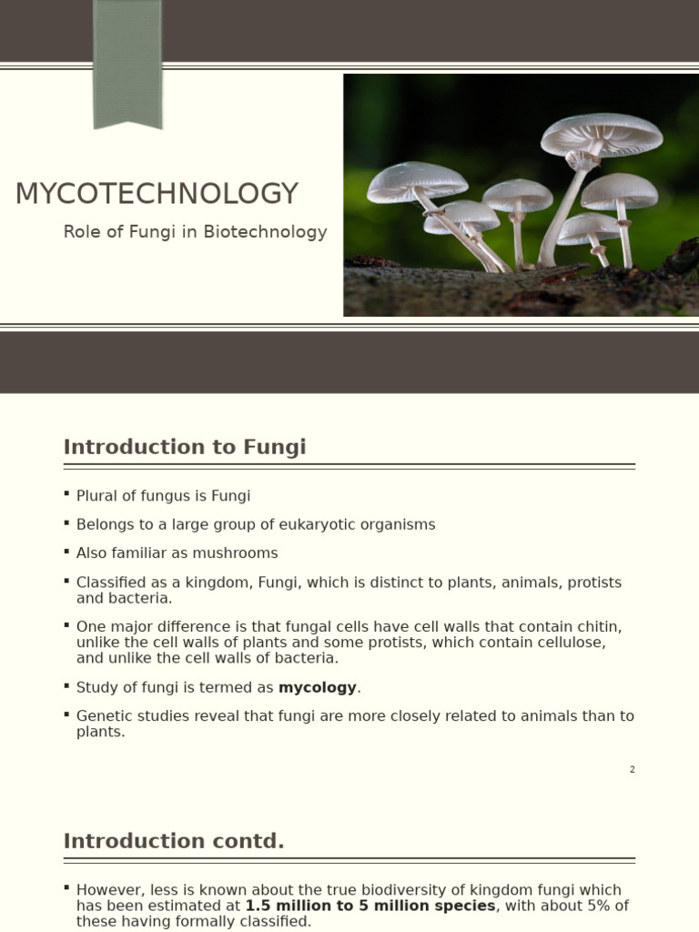 Fungi's Role in Biotechnology and Industry | PDF | Fungus | Yeast