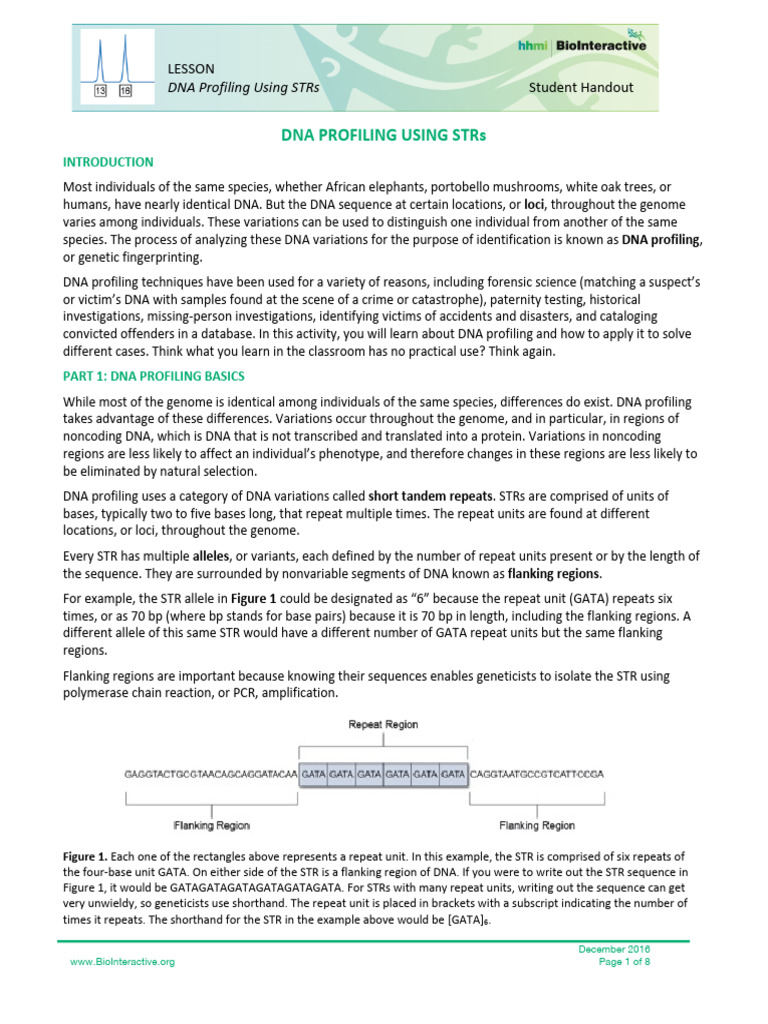 DNA Profiling Activity STUDENT 2 | PDF | Zygosity | Dna Profiling