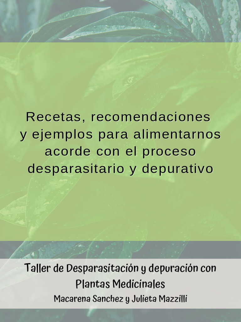 Recetas, Recomendaciones y Ejemplos | PDF | De masa fermentada | Alimentos