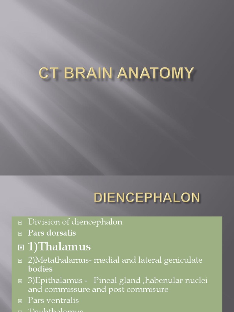 CT BRAIN Anatomy | PDF | Human Head And Neck | Neuroscience