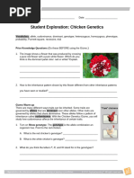 Pigeonetics Game Teacher Guide | PDF | Dominance (Genetics) | Allele