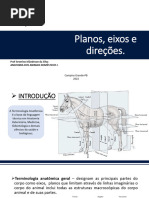 Aula 01 - EIXOS E PLANOS | PDF | Pé | Anatomia