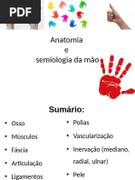 Aula 6 Ossos, Músculos, Inervação e Vascularização Do Punho e Mão | PDF ...