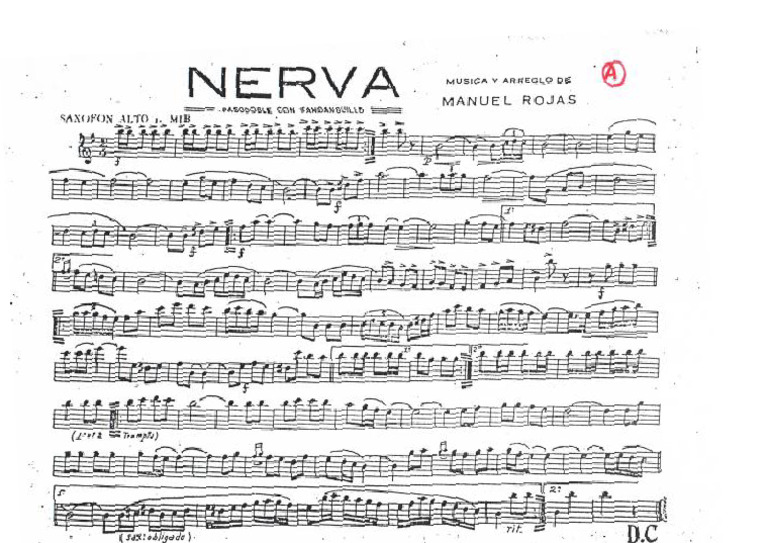 Nerva | PDF