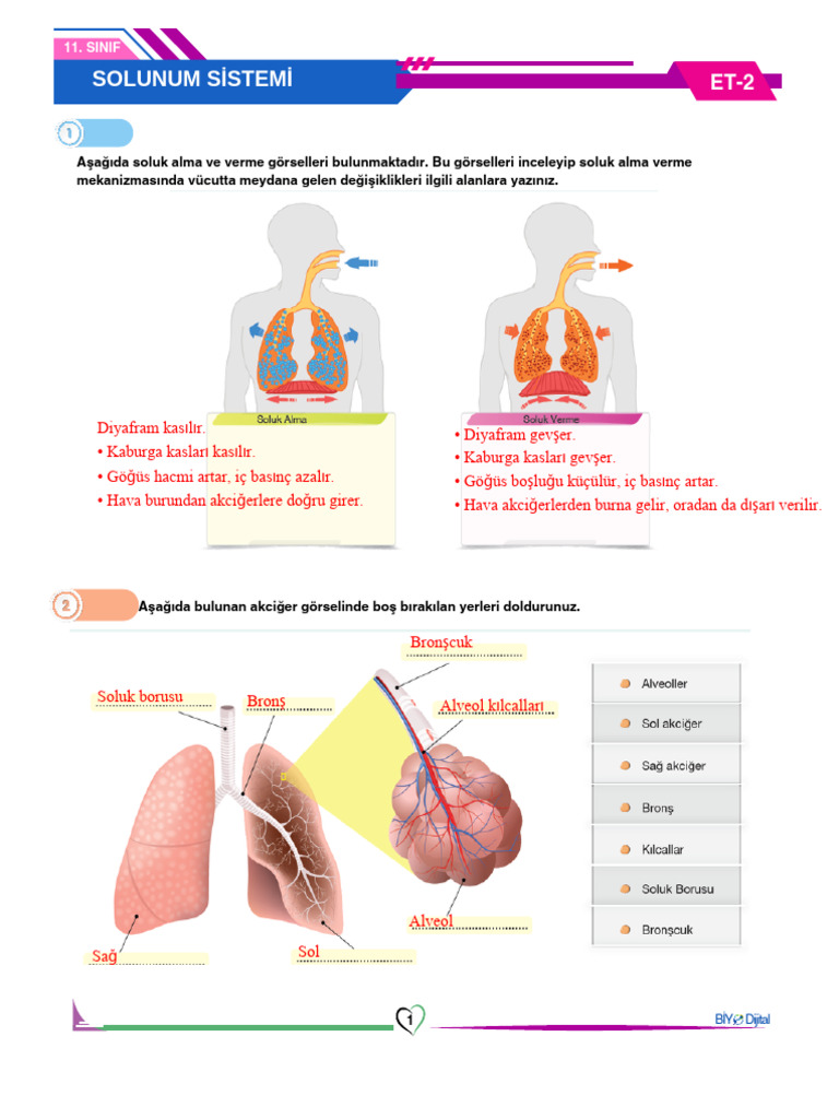 SOLUNUM ET - 2 CVP | PDF