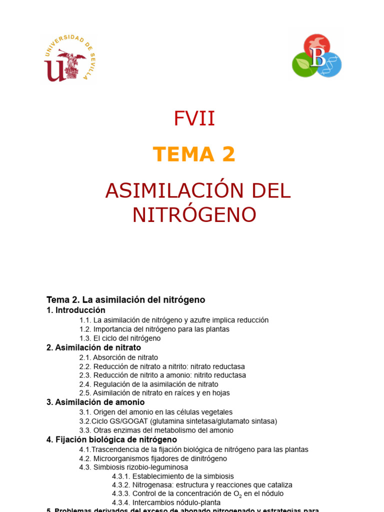 fv ii tema 2 | PDF | Cianobacterias | Metabolismo