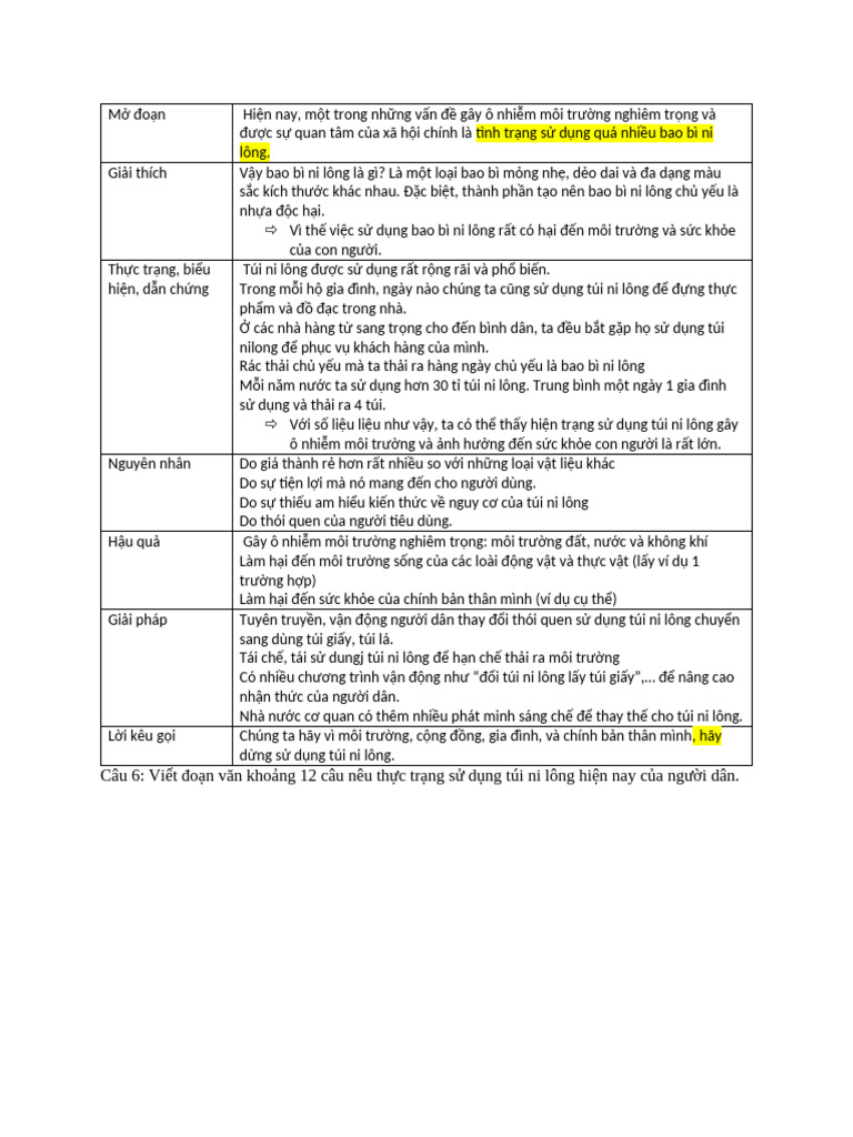 NLXH Túi Ni Lông | PDF