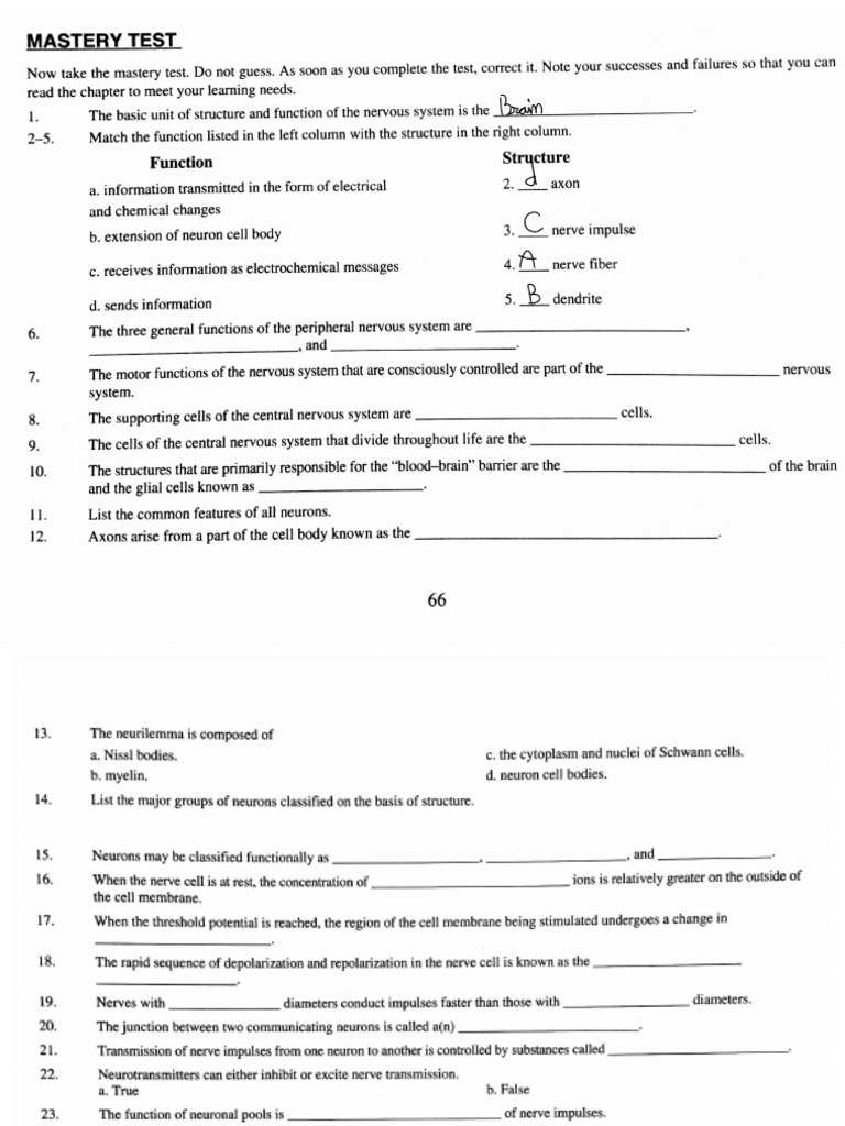 Chapter 9 Mastery Test | PDF