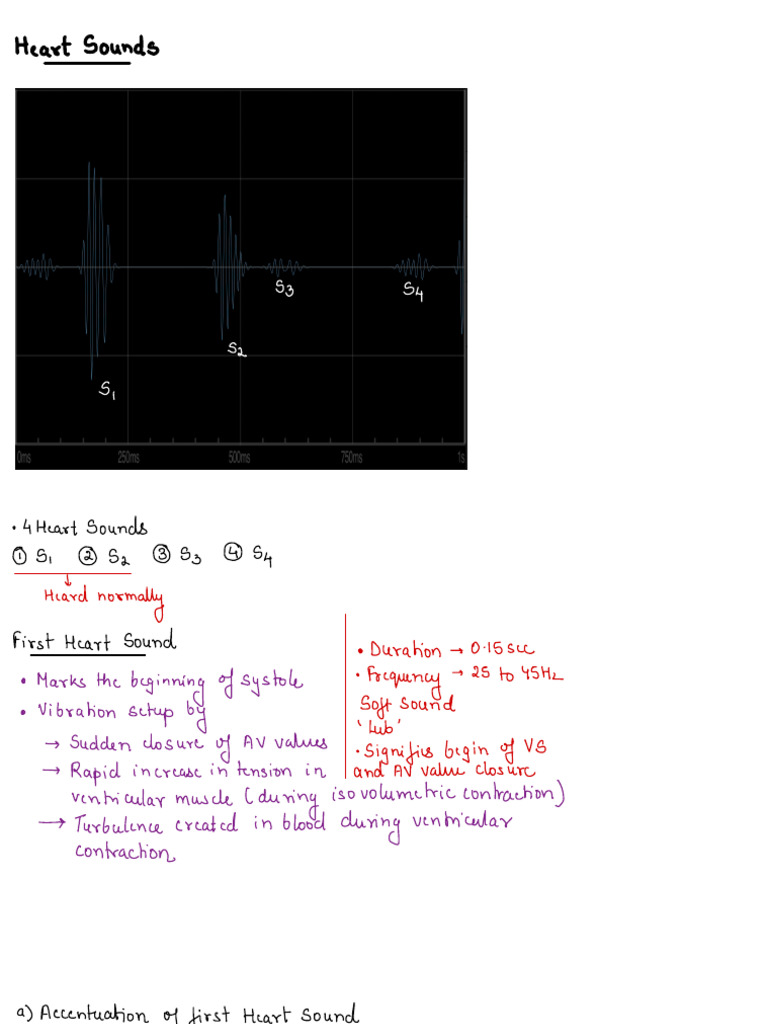 Understanding Heart Sounds and Murmurs | PDF | Heart | Physiology