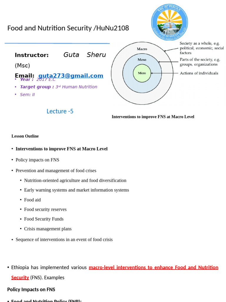 Macro-Level Interventions for Food Security | PDF | Food Security ...