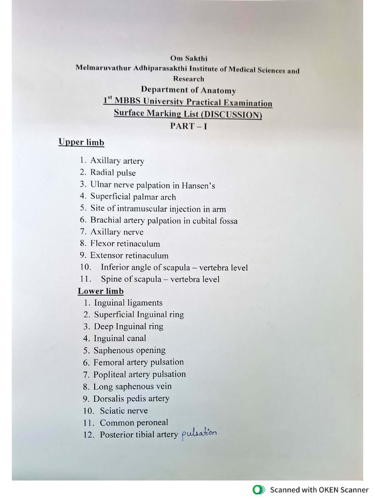 Surface Marking Topics For Practical Discussion | PDF