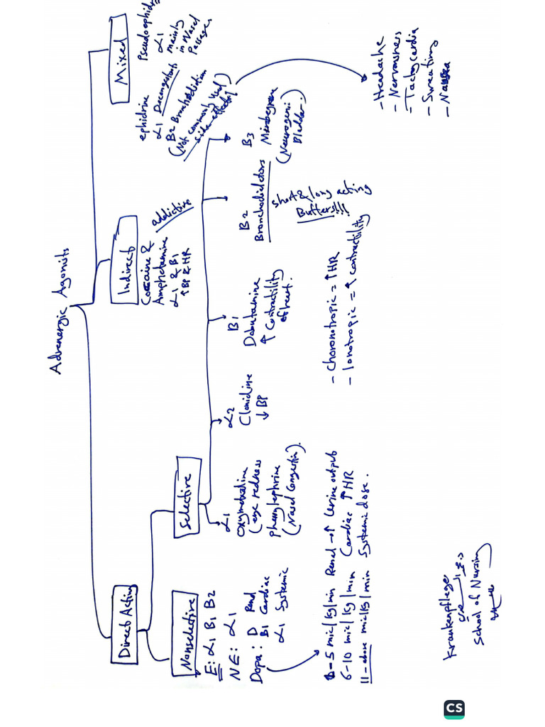 Adrenergic Agonists Summary | PDF