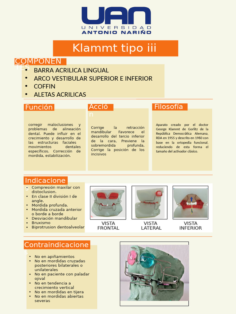 Klammt Tipo III (2) | PDF