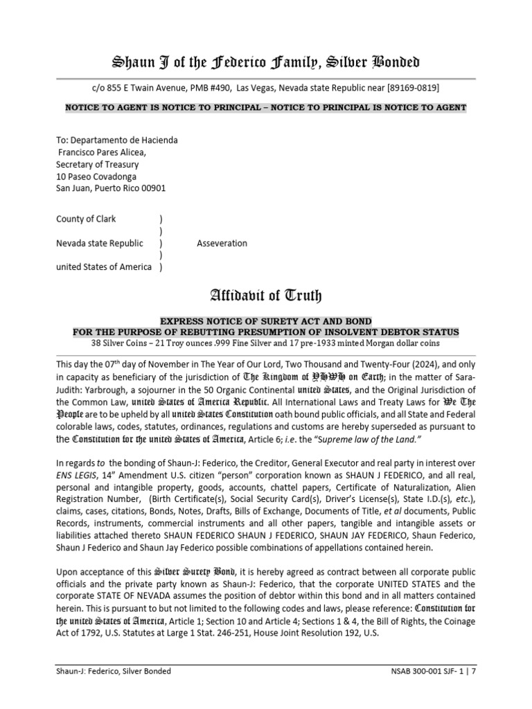 Silver Surety Bond SJF 2024 | PDF | Guarantee | Surety