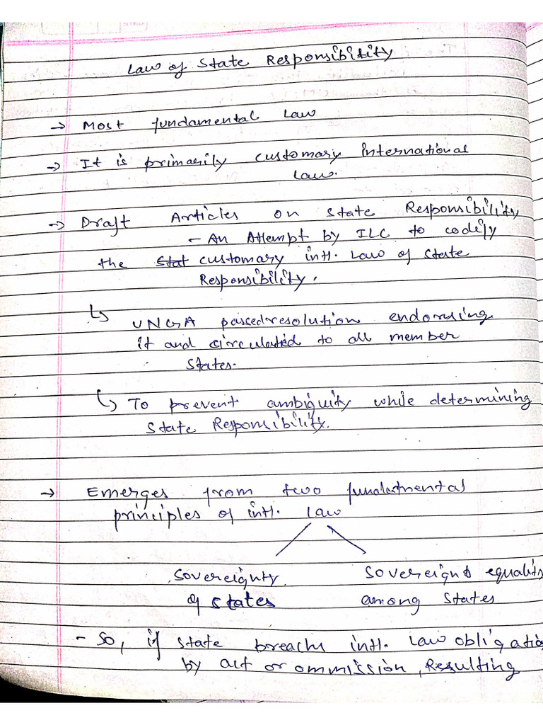 State Responsibility | PDF