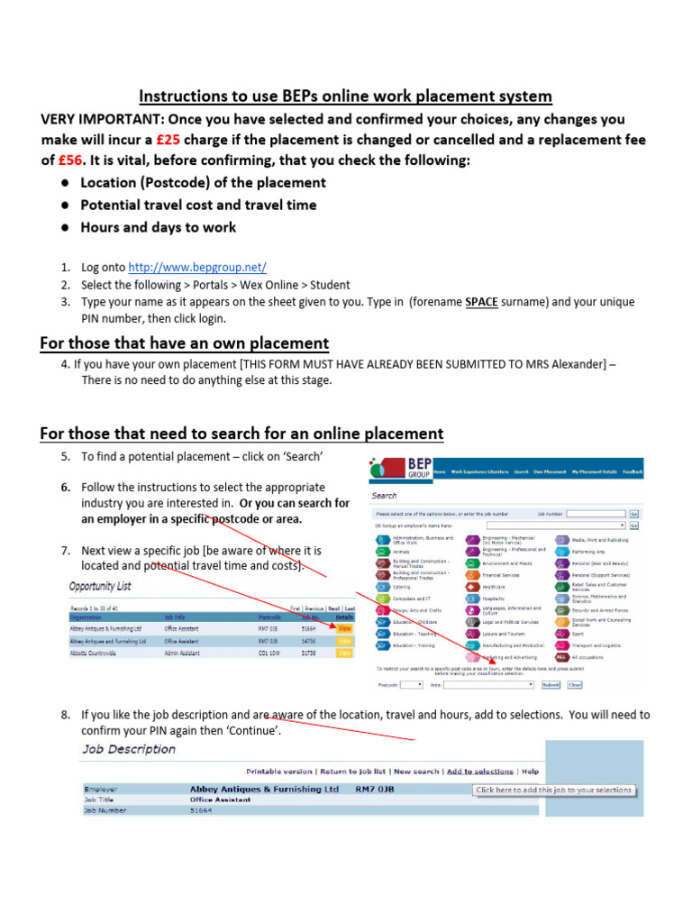 BEPs Online Work Placement Guide | PDF