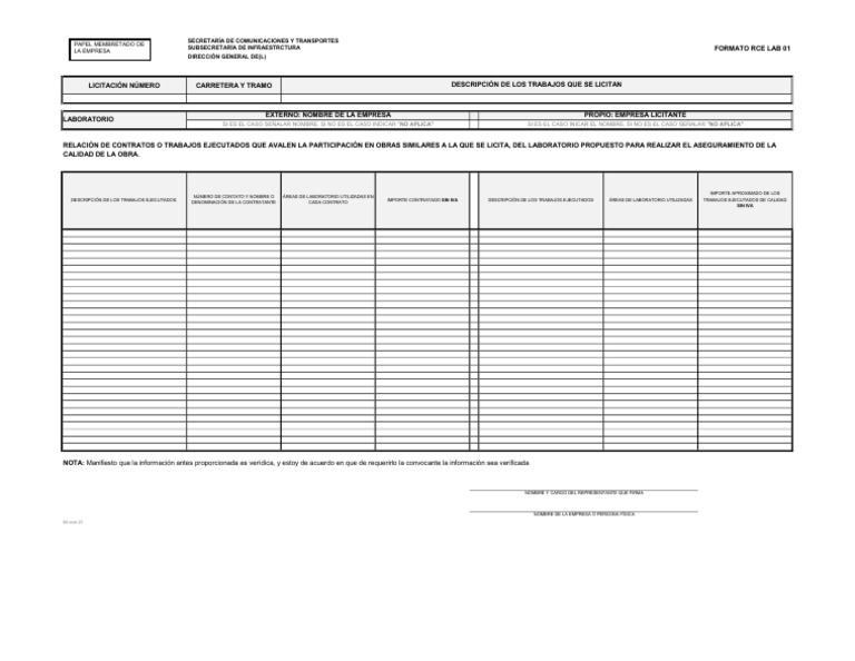 Sct Formato Rce Lab 01 | PDF
