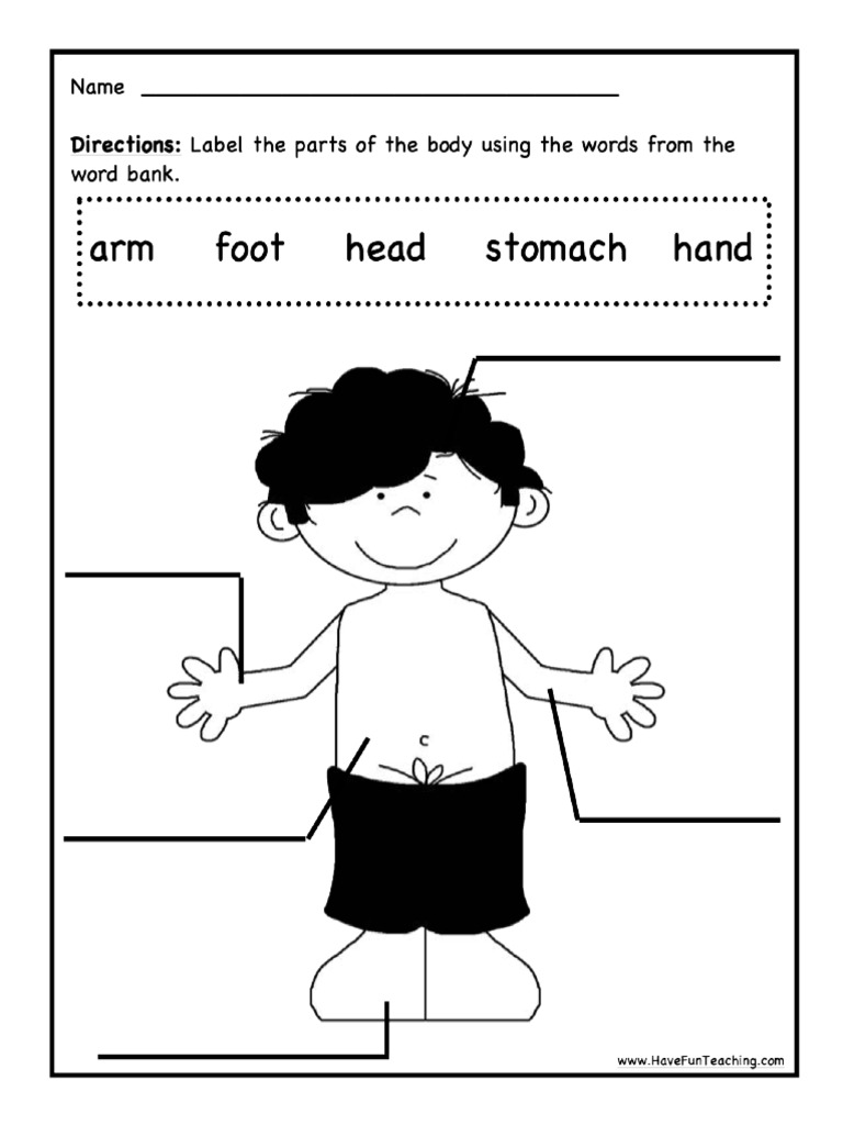 Body-Parts-Matching-Activity 2 | PDF