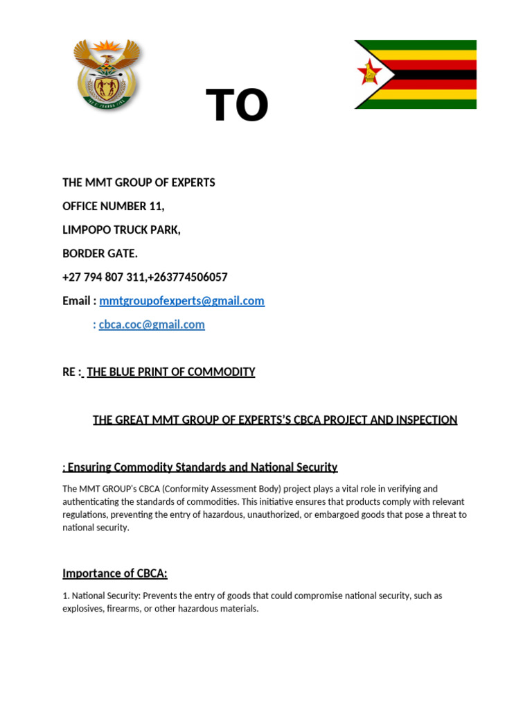 The MMT Group of Experts | PDF