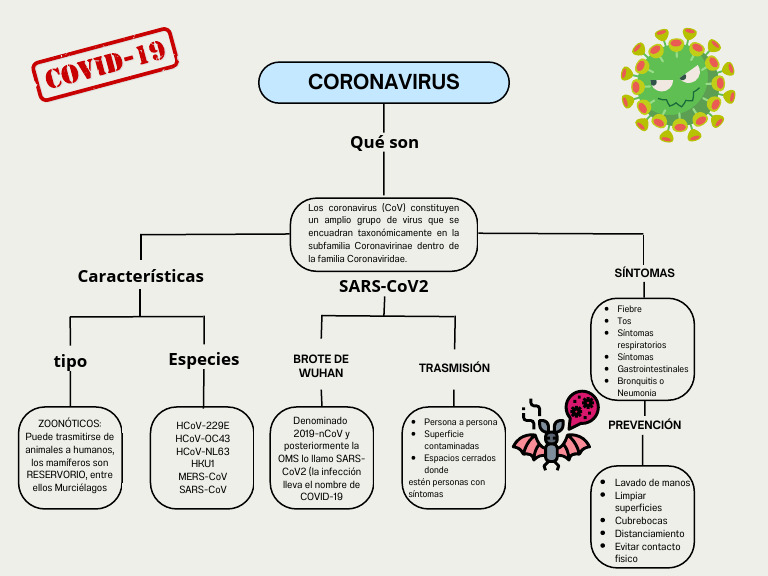 Kelvin Guevara - Mapa Conceptual | PDF | Virología | Microbiología