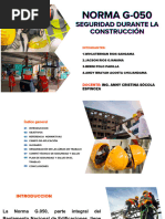 Informe de La Norma G-050. 2025 | PDF | Encendiendo | Presupuesto