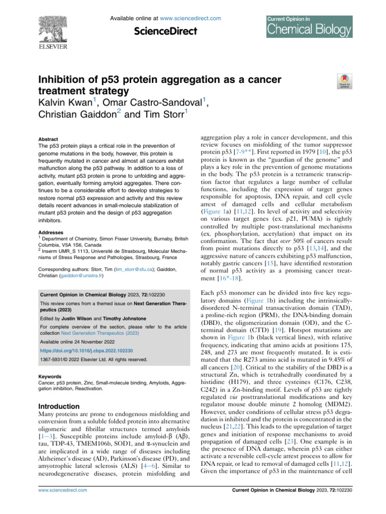 Inhibition of p53 Protein Aggregation As A Cancer Treatment Strategy | PDF | P53 | Biochemistry
