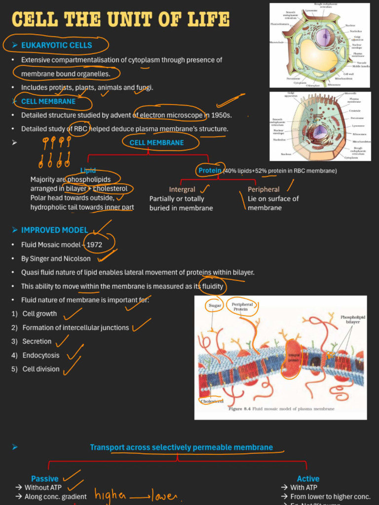 Cell The Unit of Life (PART-2) - Compressed | PDF