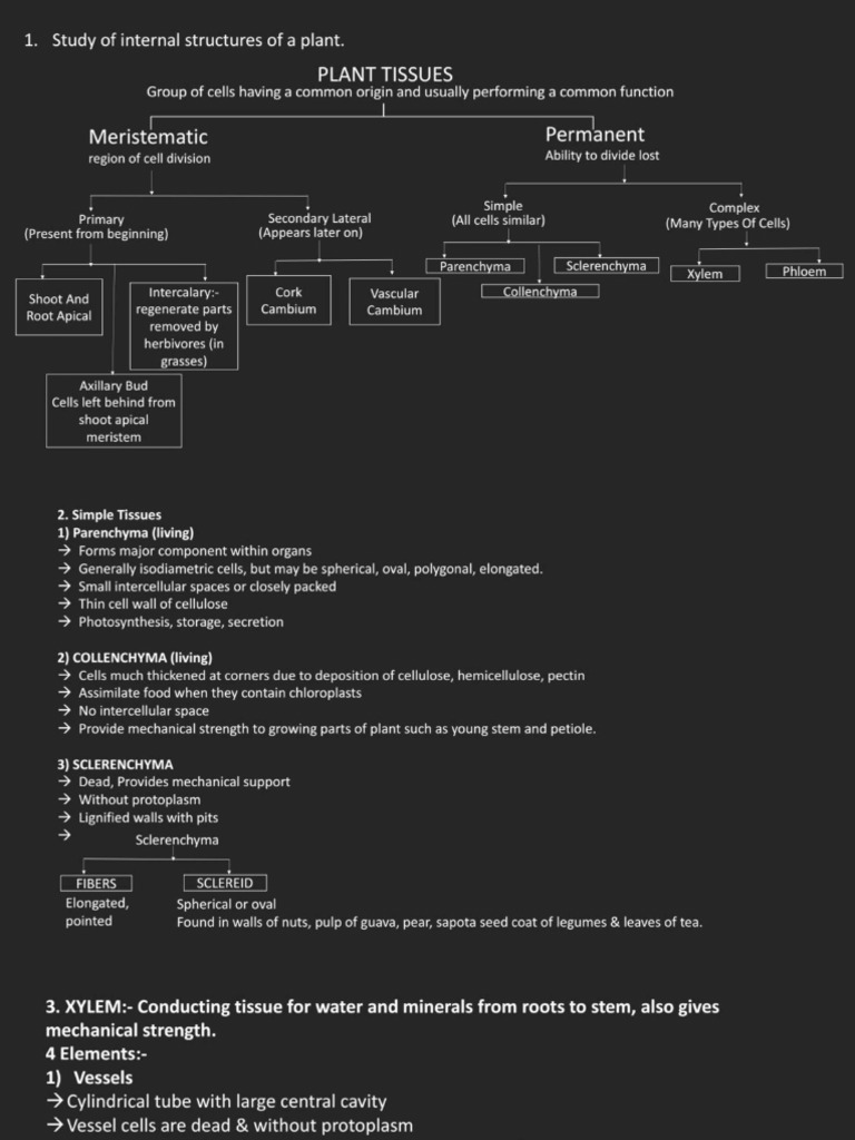 Anatomy of flowering Plants Part-2 Class Notes_compressed | PDF