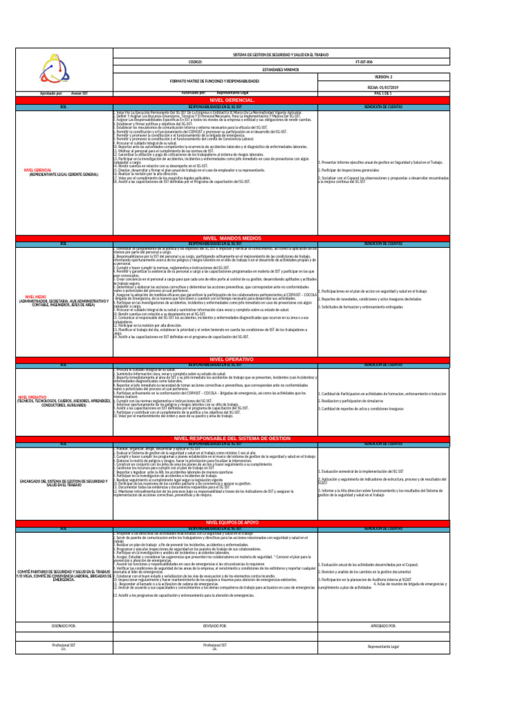 3 FT SST 006 Formato Matriz de Funciones y Responsabilidades | PDF | Responsabilidad