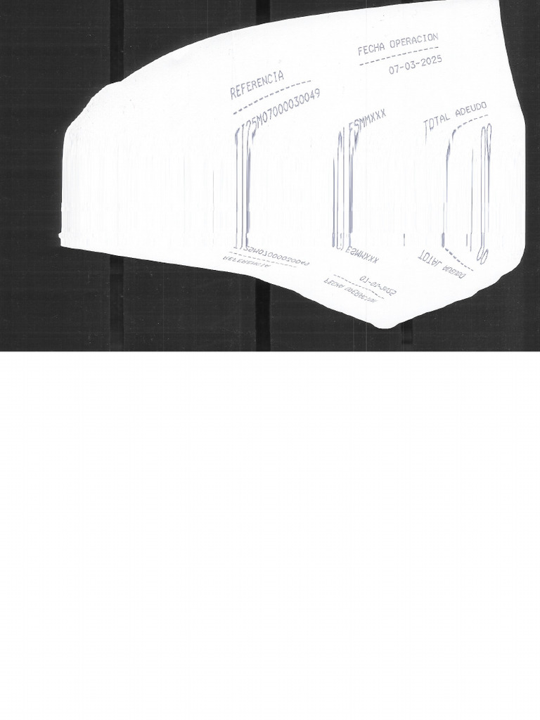 Escáner 20250307 | PDF