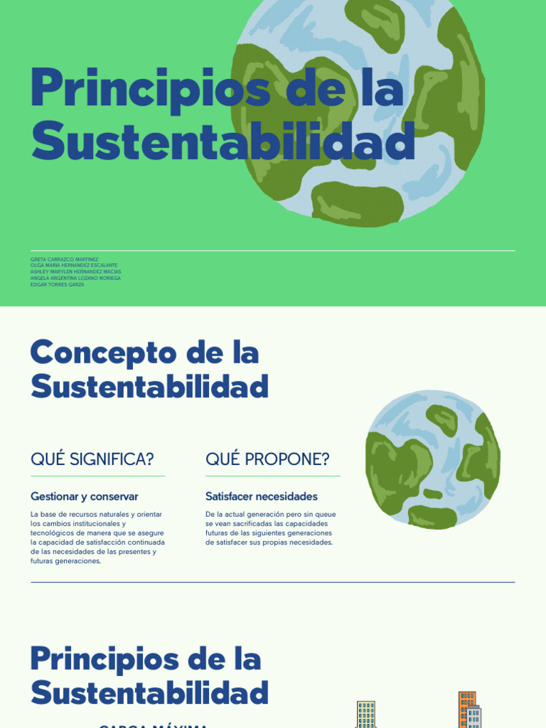 Principios de la Sustentabilidad | PDF | Sustentabilidad | Entorno natural