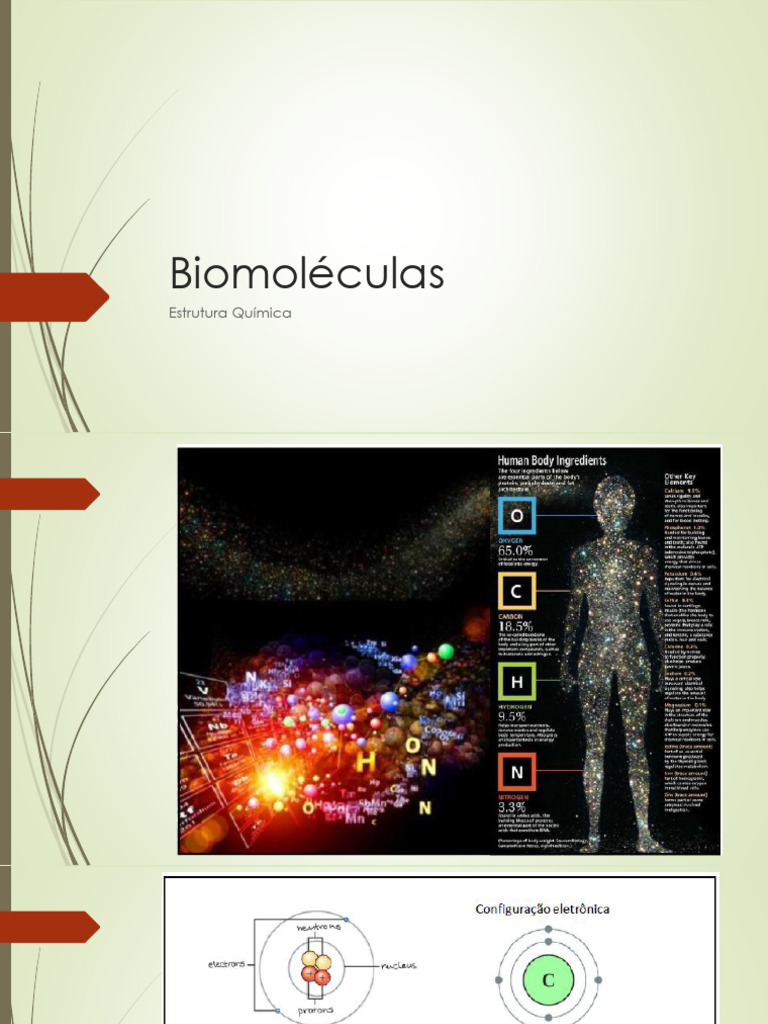 Biomoléculas | PDF