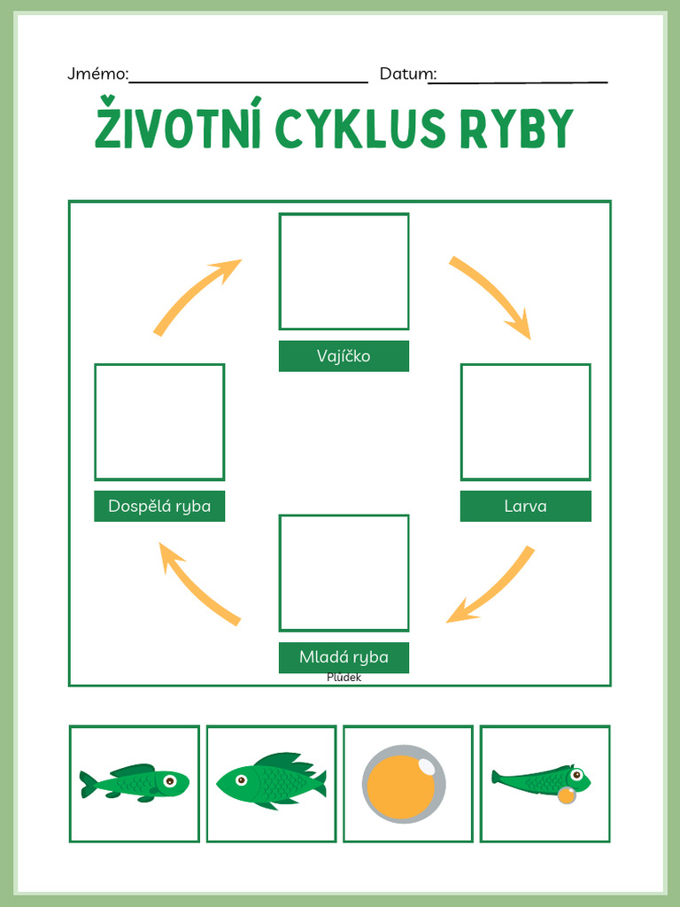 Cyklus Ryby | PDF